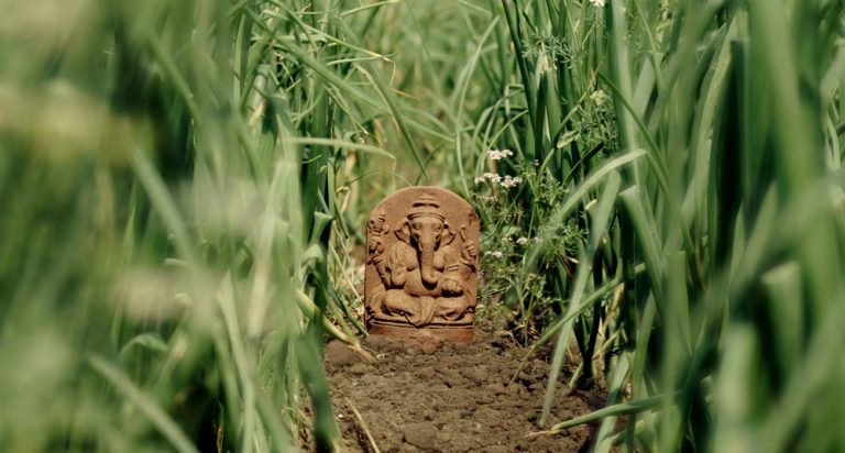 My Organic Earth turns faith into a sustainable farm solution with ...